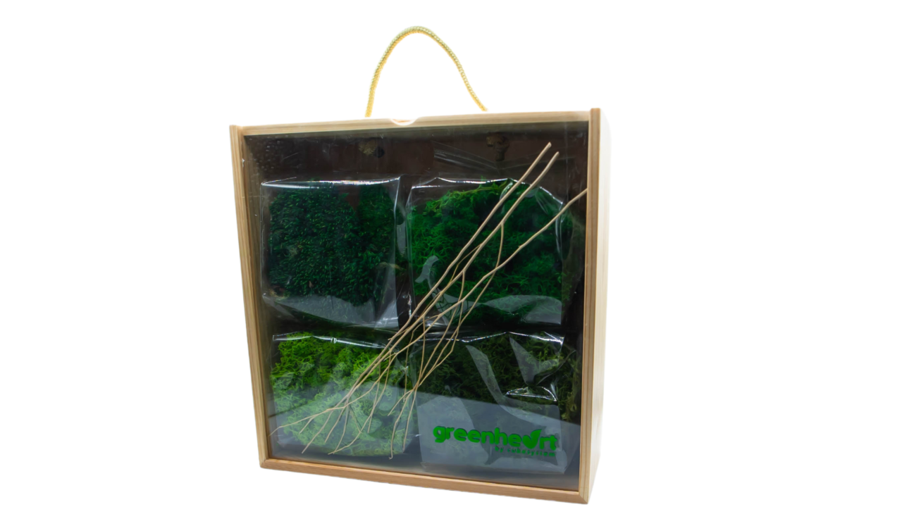 PRESERVED LOOSE MOSS GIFT SET WITH FRAME - GreenHeart